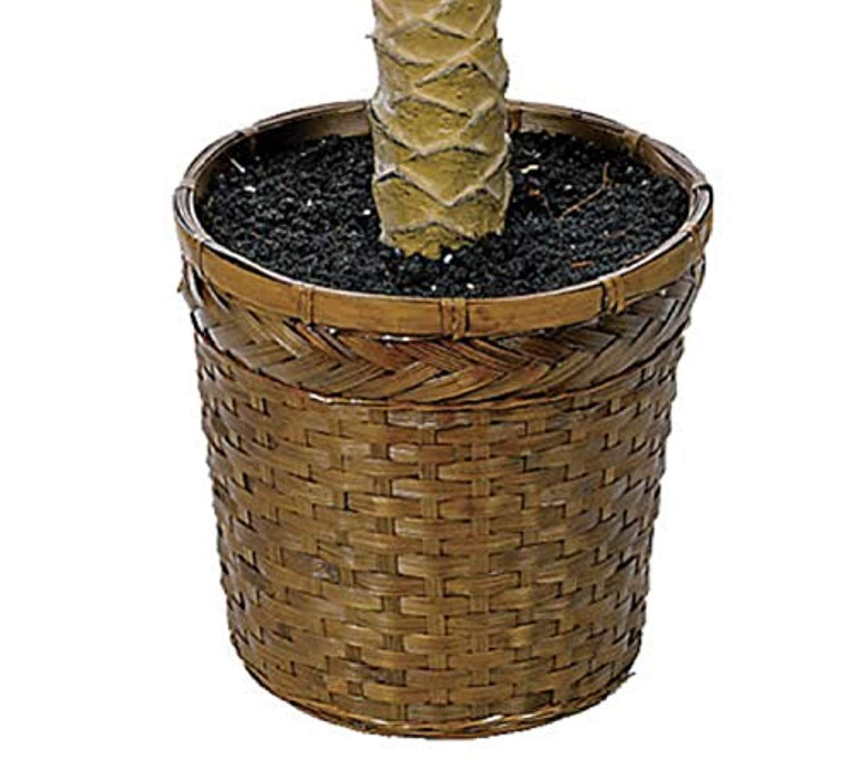 6ft. Sago Palm Silk Tree